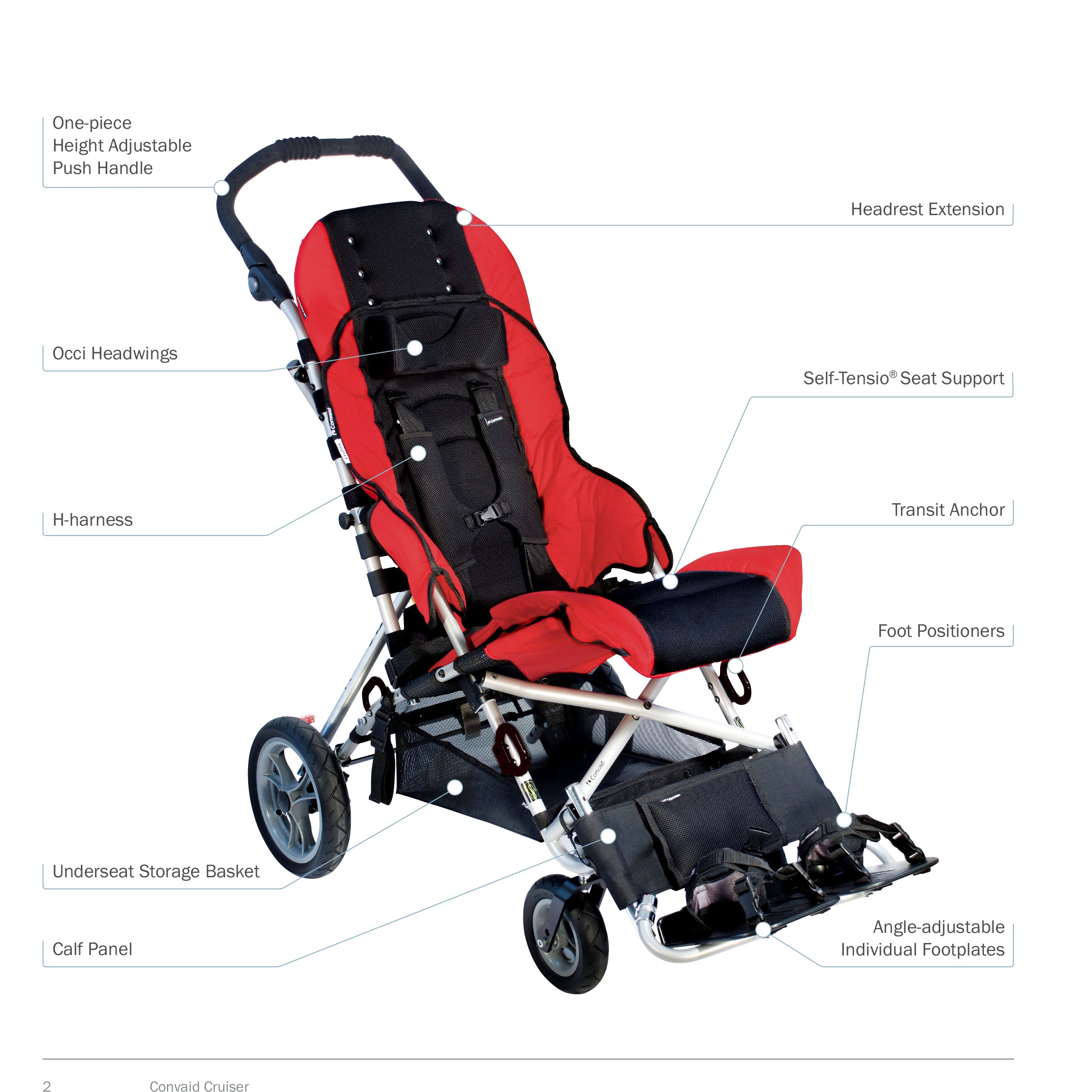 Convaid | Cruiser Special Needs Stroller | Tadpole Adaptive