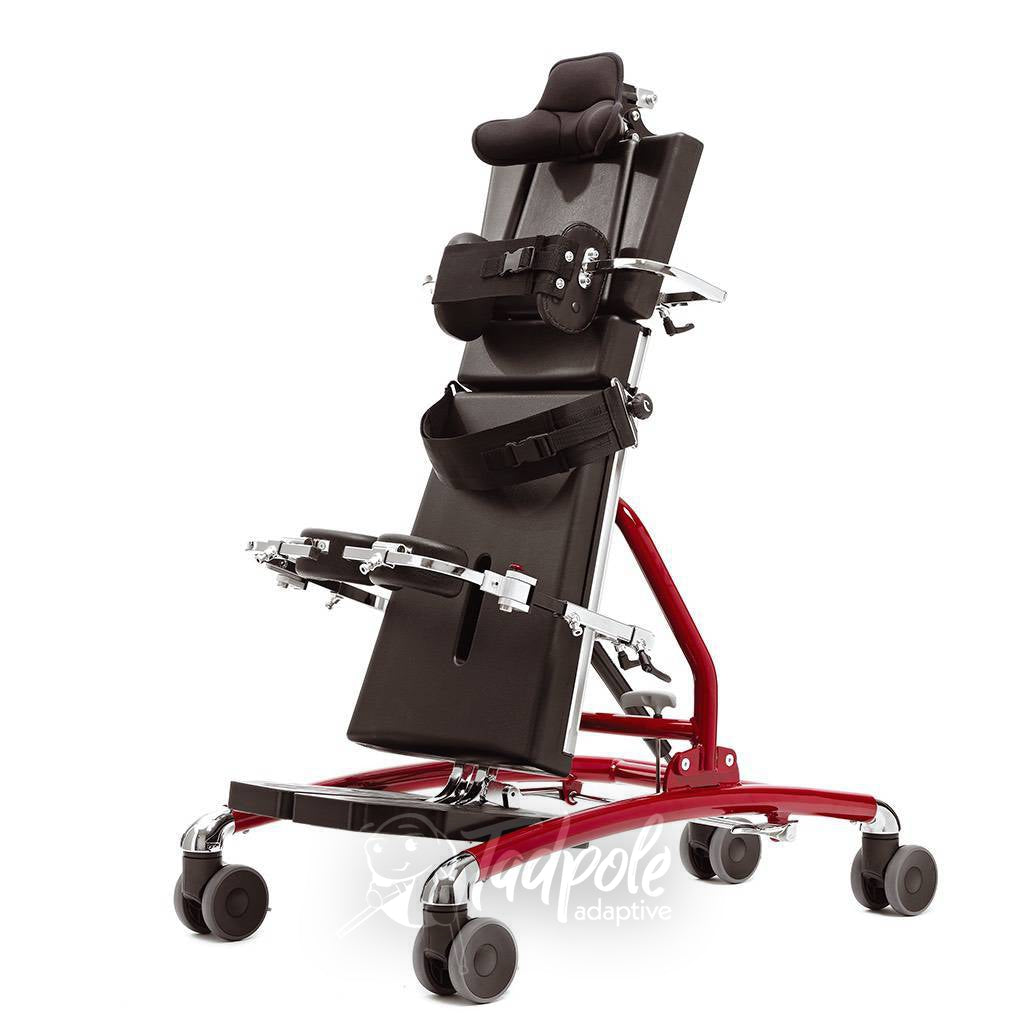Electric Standing Frame